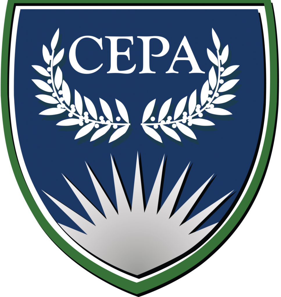 The Rise of Online Learning